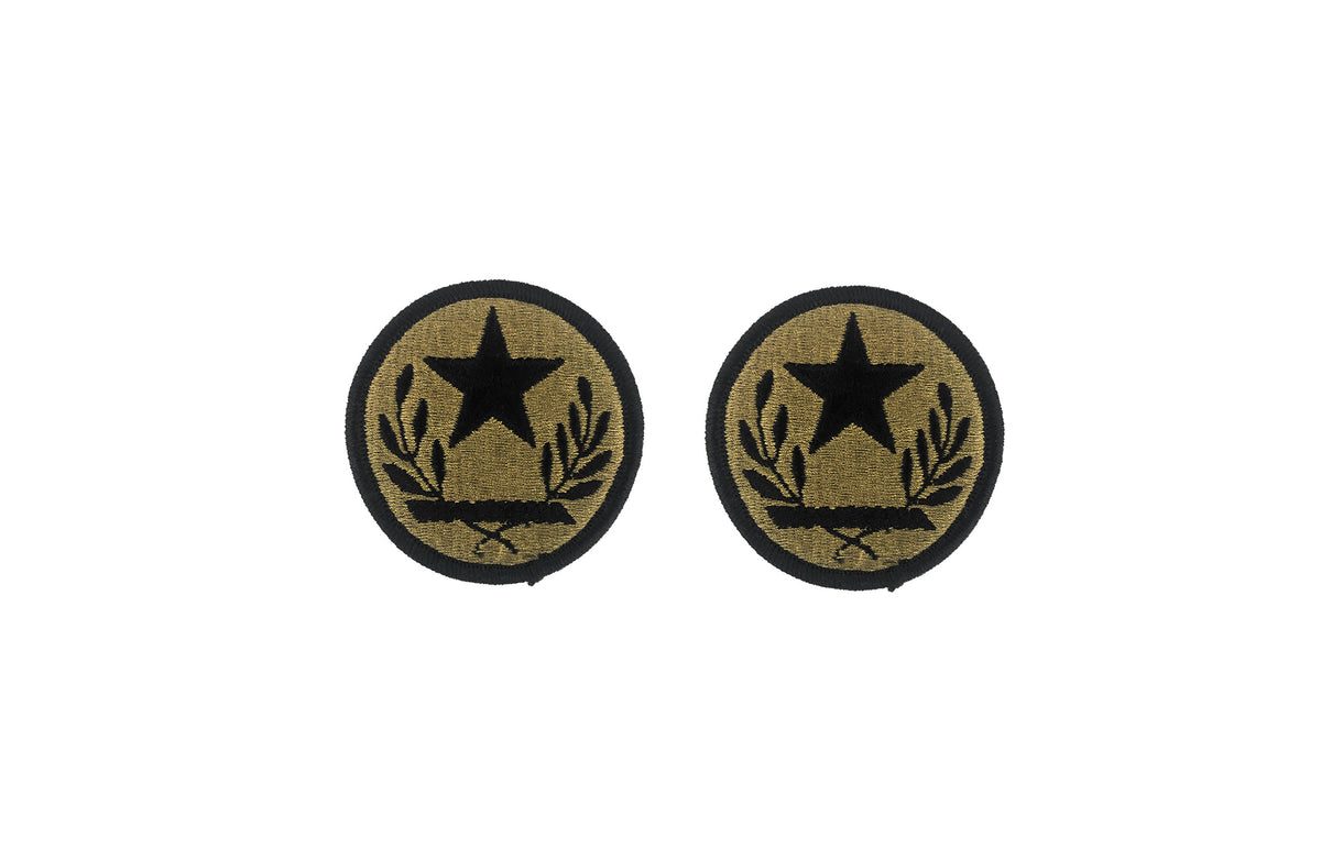 Texas National Guard OCP Patch with Hook Fastener pair Insignia Depot