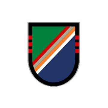 75th Ranger Regiment 3rd Battalion Flash | Insignia Depot