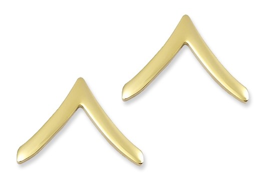 E2 Private Brite Pin-on Rank | Insignia Depot