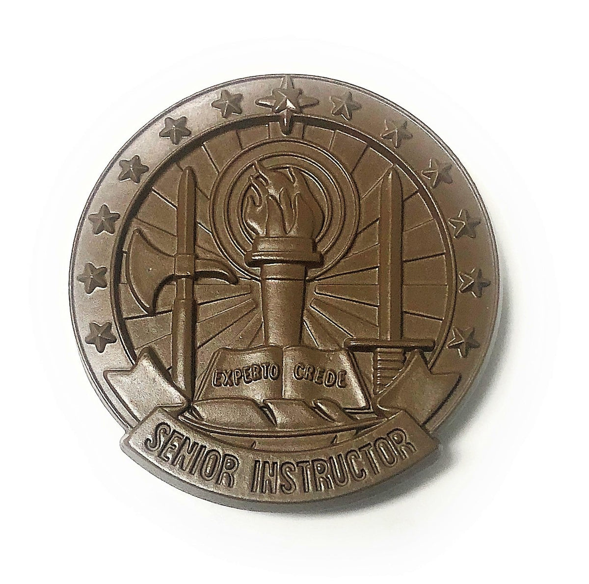 A BDG (Senior) Instructor Badge Black/Brown Metal Branch Pin-On ...